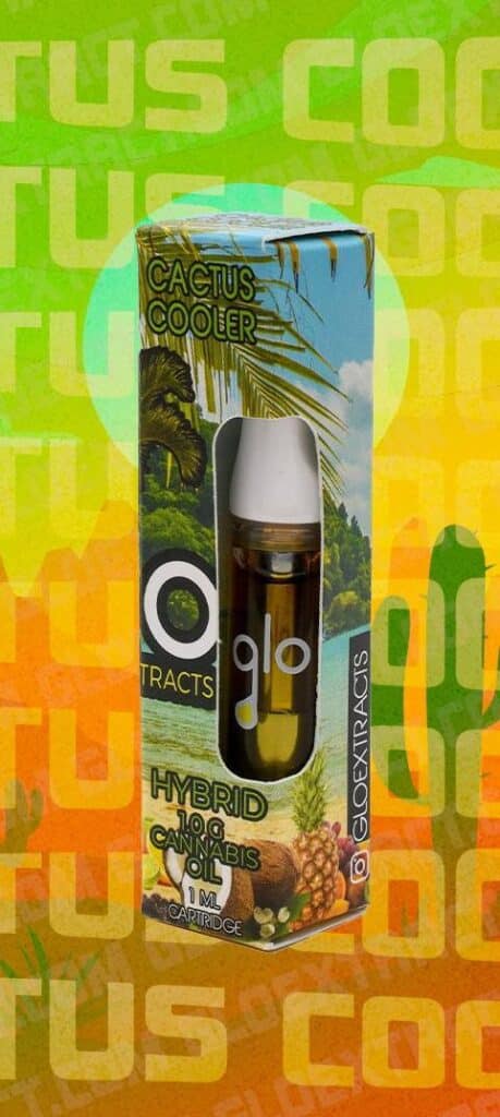 Cactus Cooler Strain – The Ultimate Refreshing Cannabis Experience